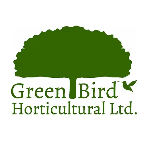 Green Bird Logo